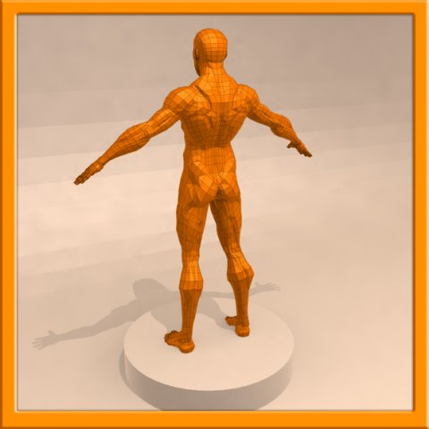 realistic male muscle 3D Model in Man 3DExport