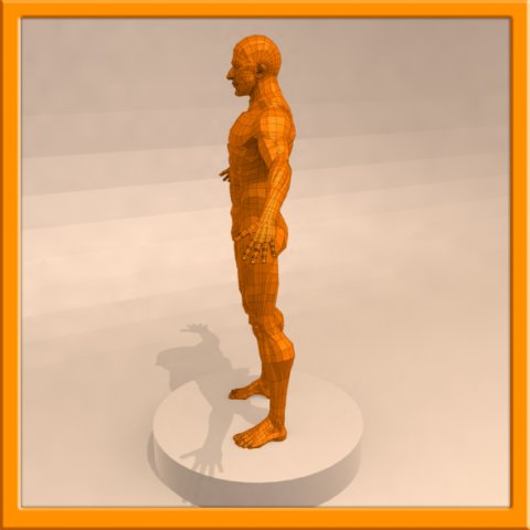 realistic male muscle 3D Model in Man 3DExport