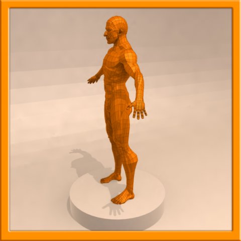 realistic male muscle 3D Model in Man 3DExport