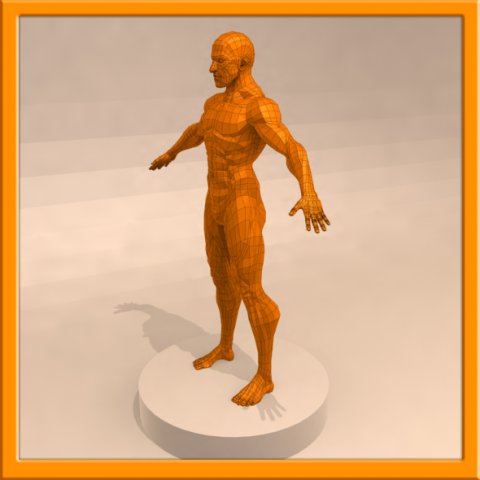 realistic male muscle 3D Model in Man 3DExport