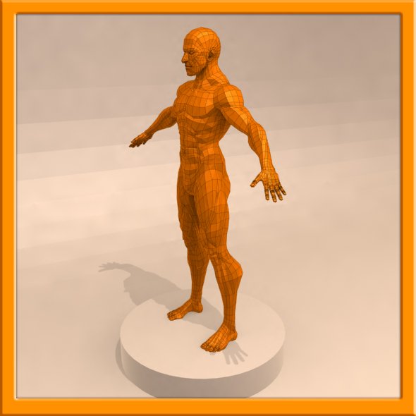 REALISTIC Male muscle 3D Model in Man 3DExport