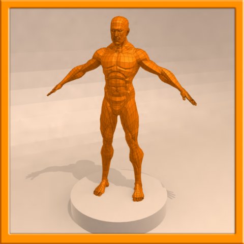 realistic male muscle 3D Model in Man 3DExport
