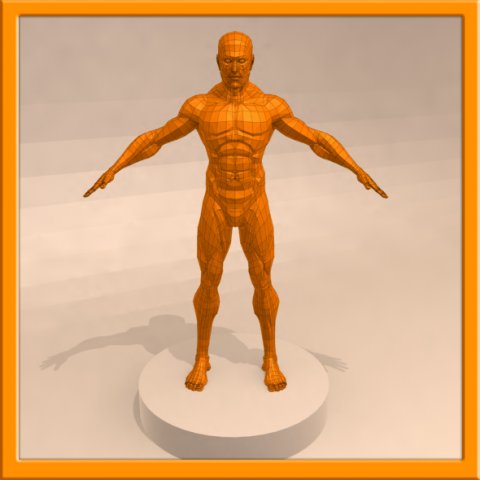 realistic male muscle 3D Model in Man 3DExport