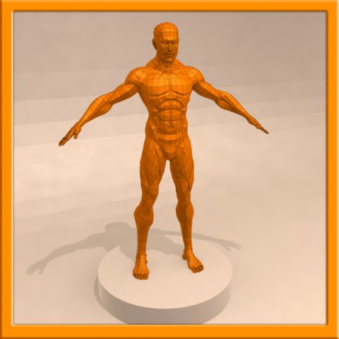 realistic male muscle 3D Model in Man 3DExport