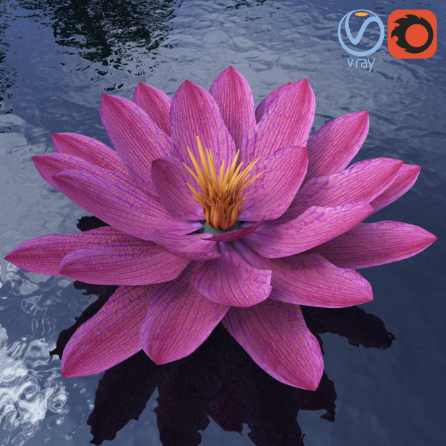 water lily - plant - 0001 Free 3D Model in Flowers 3DExport