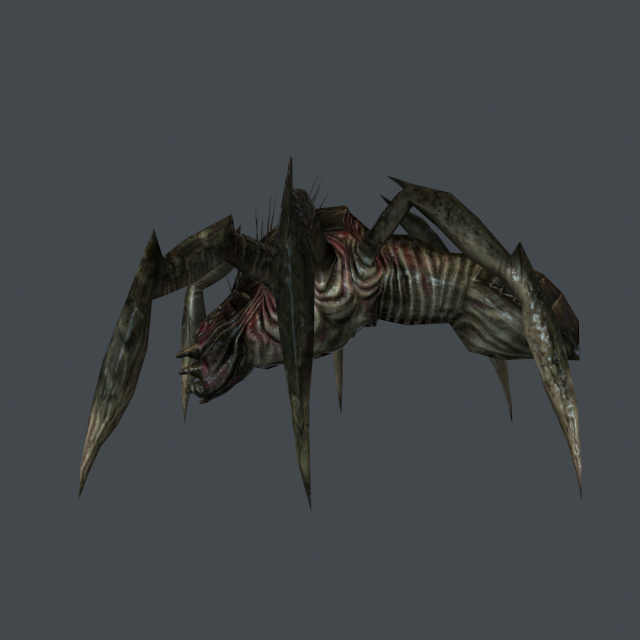 space alien spider 3D Model in Spider 3DExport