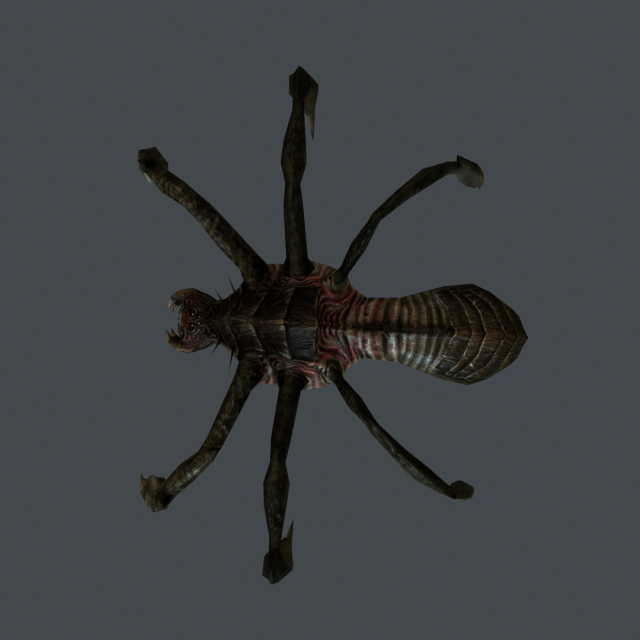 space alien spider 3D Model in Spider 3DExport