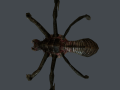 Space Alien Spider 3D Model in Spider 3DExport
