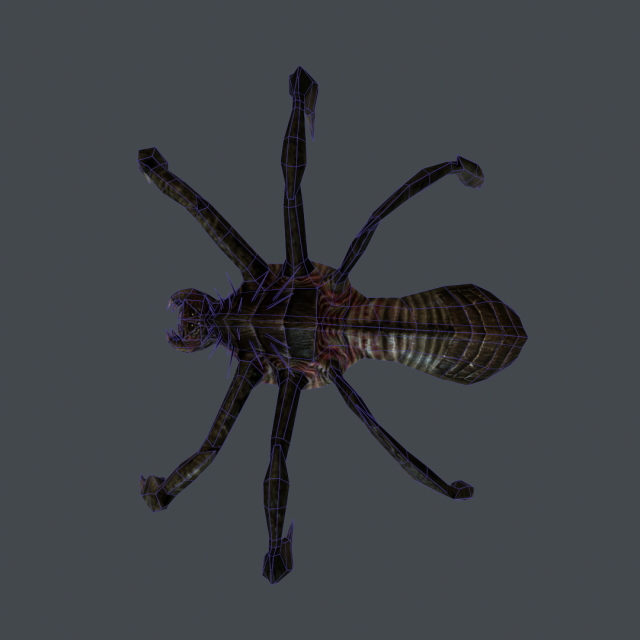space alien spider 3D Model in Spider 3DExport