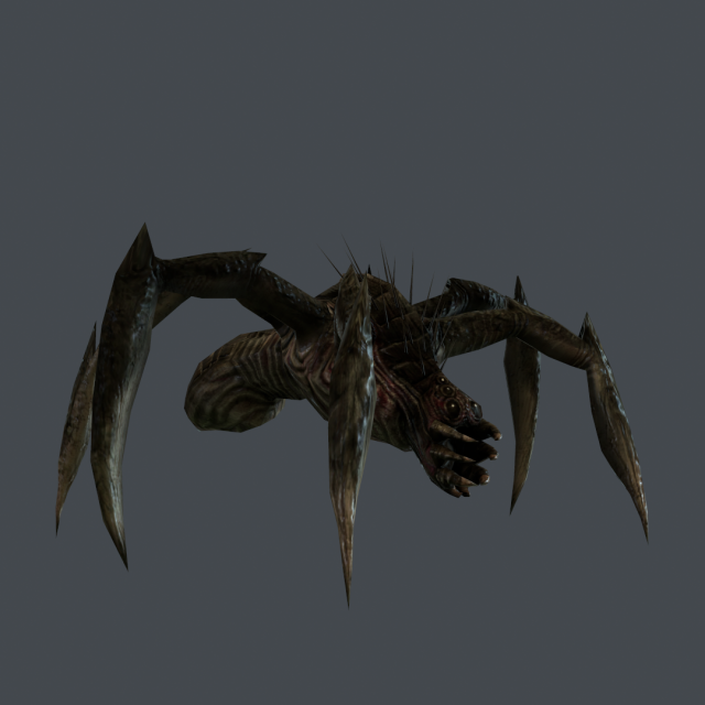 space alien spider 3D Model in Spider 3DExport