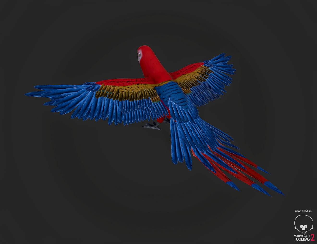 Parrot 3D Model in Bird 3DExport