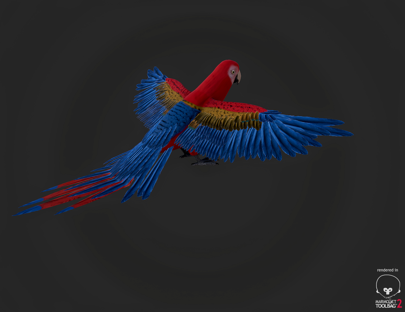 Parrot 3D Model in Bird 3DExport