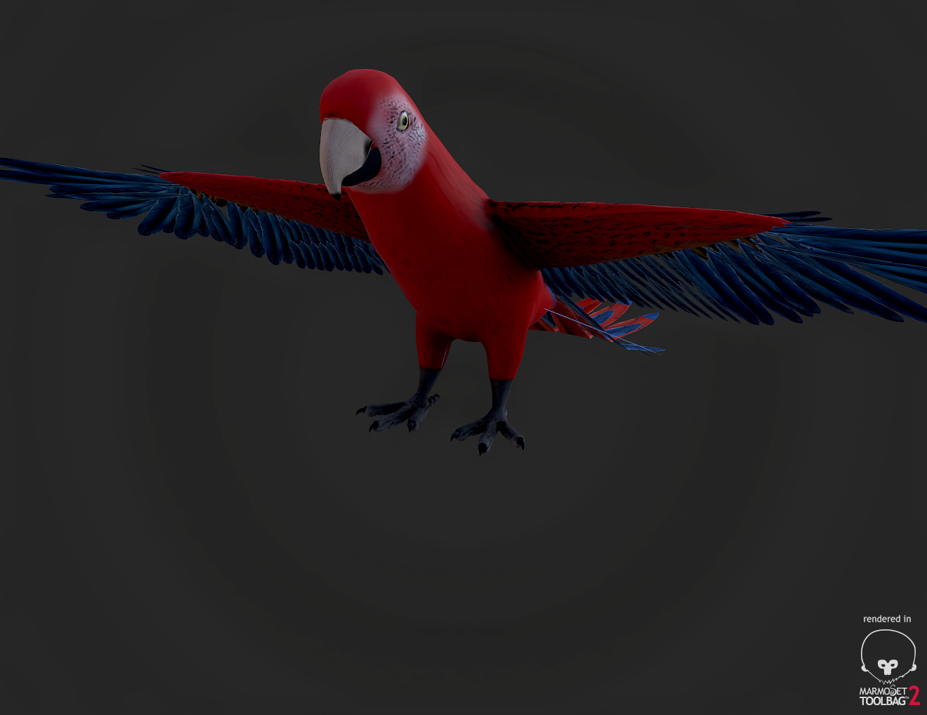 Parrot 3D Model in Bird 3DExport