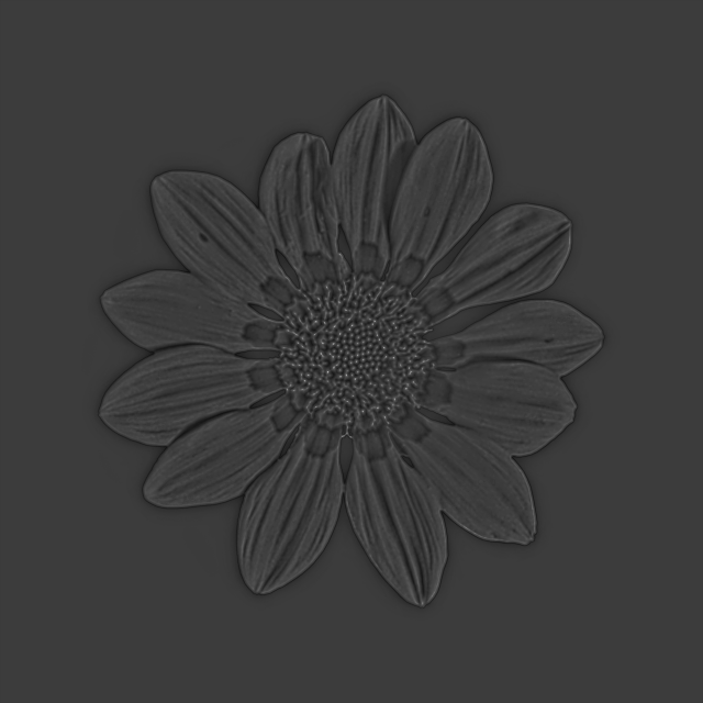 flower texture 10 pack CG Textures in Nature 3DExport