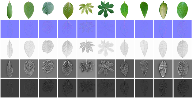 leaf texture 10 pack version 2 CG Textures in 3D Textures 3DExport