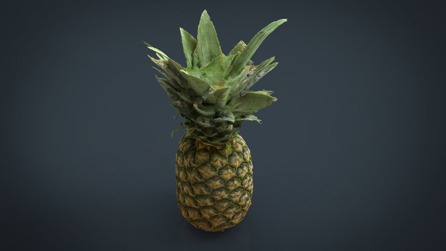 Ananas 3D Model in Fruit 3DExport