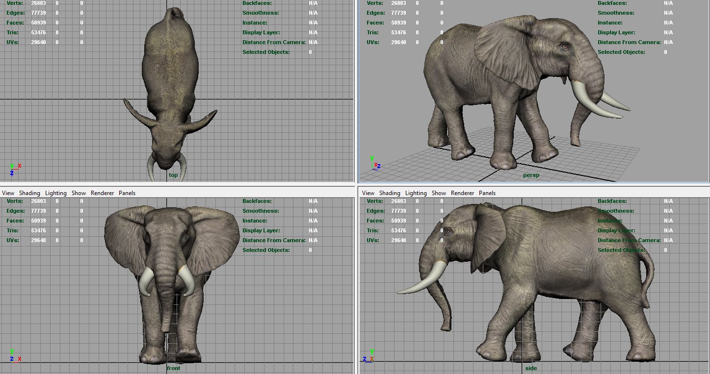 african elephant 3D Model in Elephant 3DExport