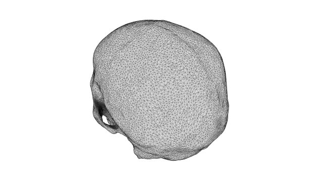 realistic skull 3D Model in Anatomy 3DExport