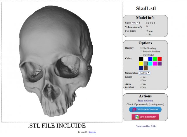 realistic skull 3D Model in Anatomy 3DExport