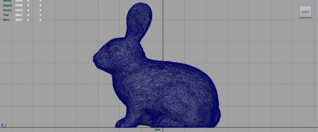 rabbit 3D Model in Other 3DExport
