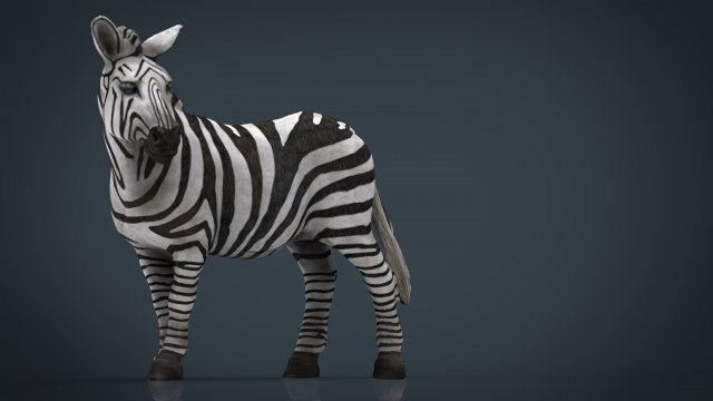 zebra 3D Model in Wildlife 3DExport
