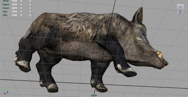 wild boar 3D Model in Pig 3DExport