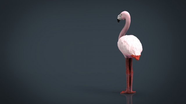 flamingo 3D Model in Bird 3DExport