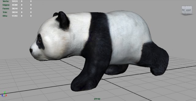panda walking 3D Model in Bear 3DExport