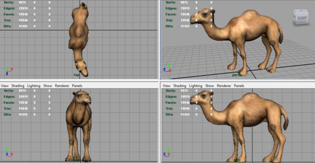 camel 2 3D Model in Other 3DExport