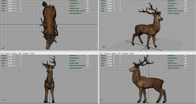 realistic deer 3D Model in Deer 3DExport