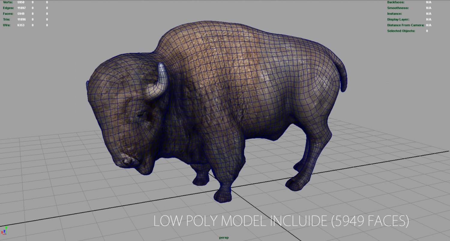 American bison 3D Model in Wildlife 3DExport