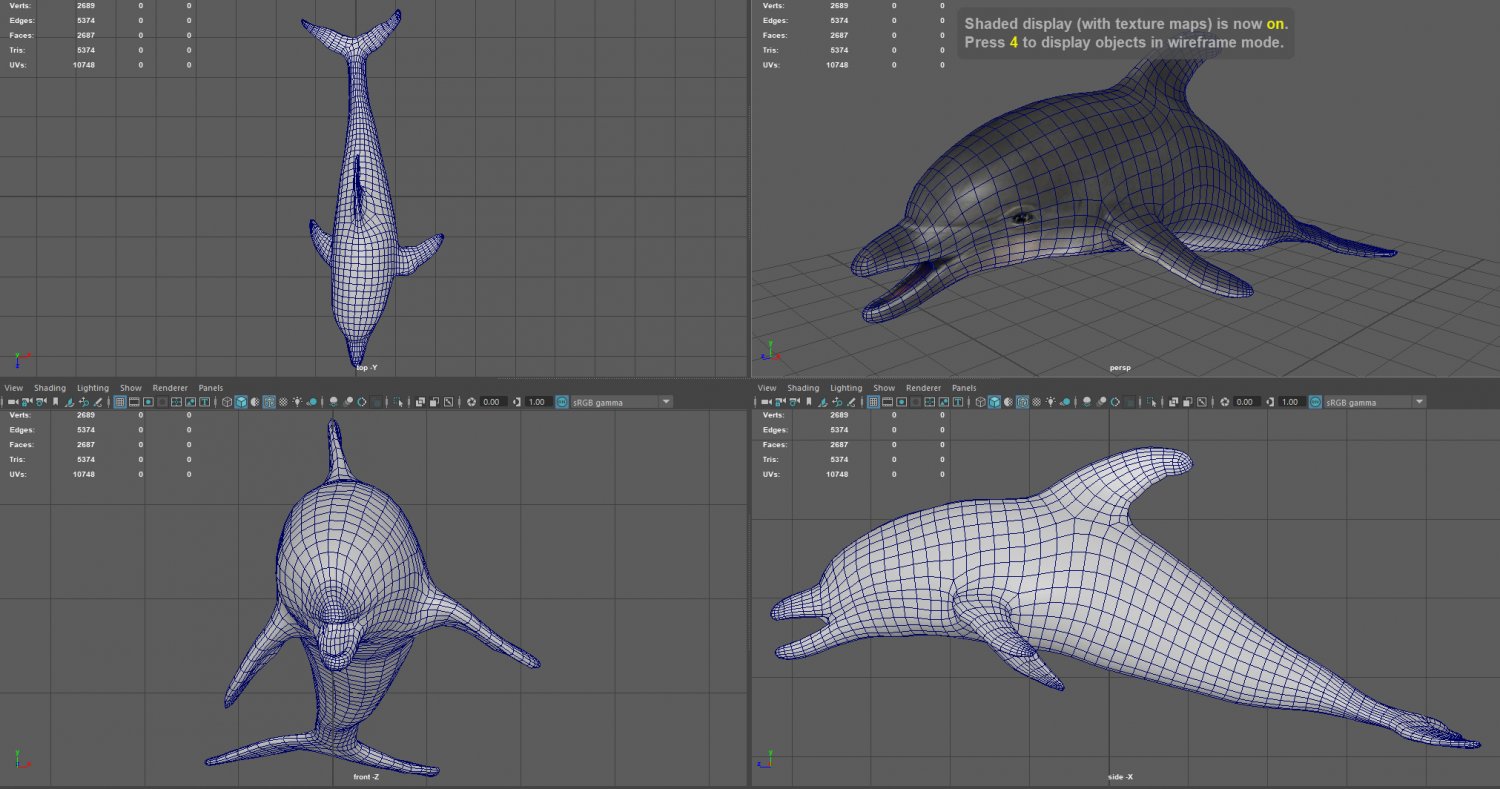 dolphin 3D Models in Dolphin 3DExport