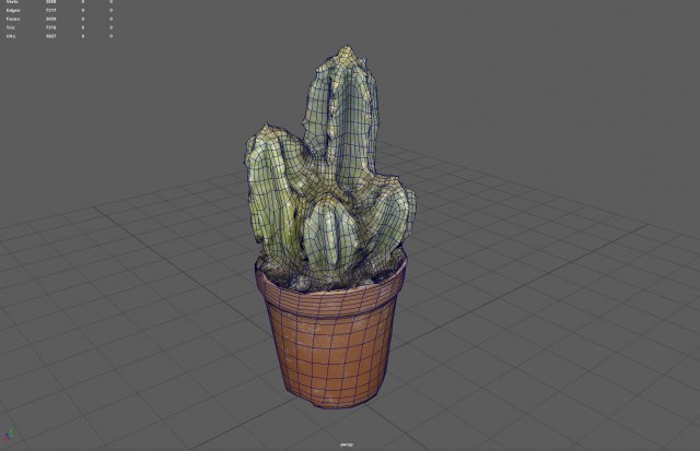 Cactus 3D Model in Small Plants 3DExport