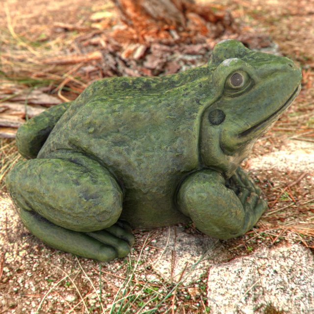 Toad 3D Model in Amphibians 3DExport