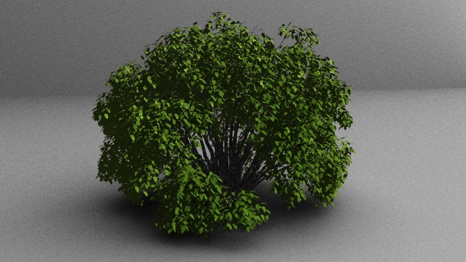 Shrub 3D Model in Landmarks 3DExport