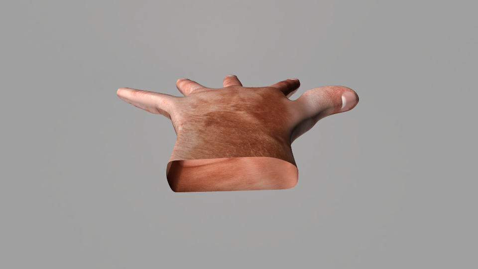 humen hand 3D Models in Other 3DExport