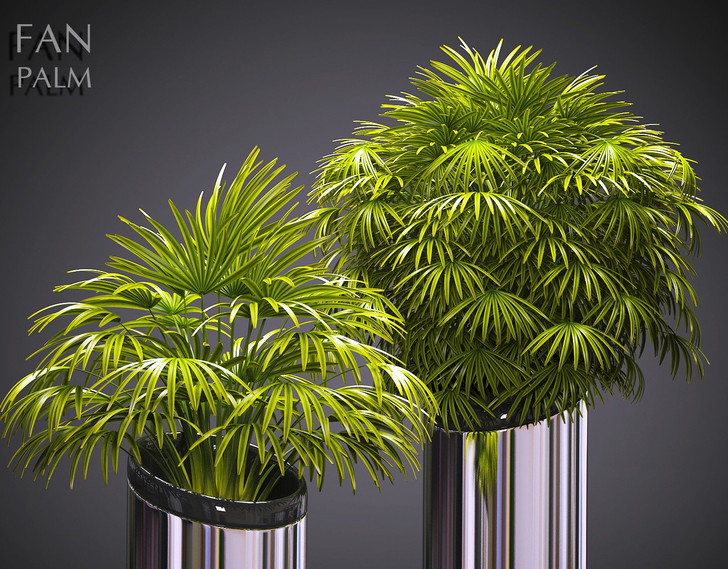 plant 53 3D Models in Small Plants 3DExport