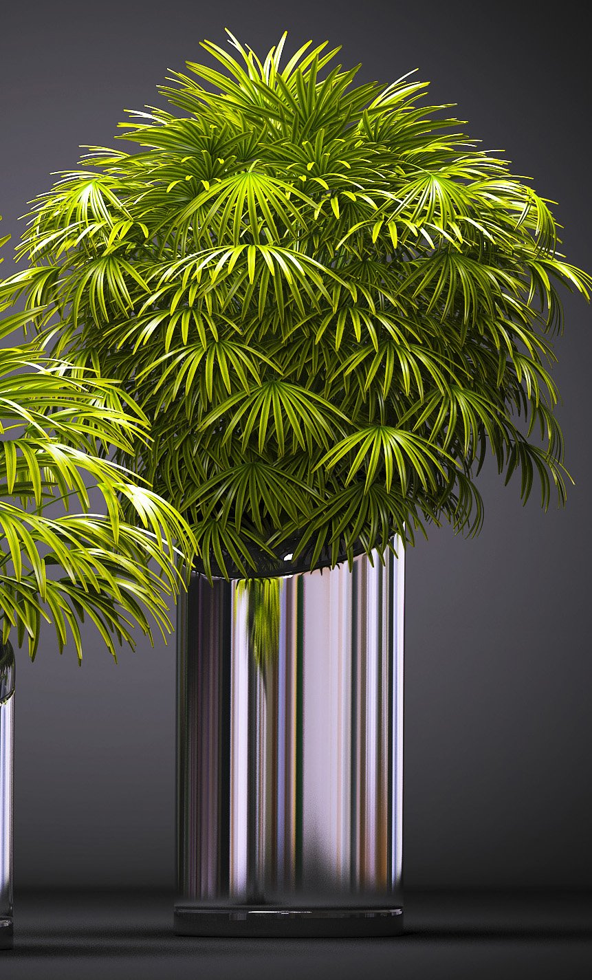 plant 53 3D Models in Small Plants 3DExport