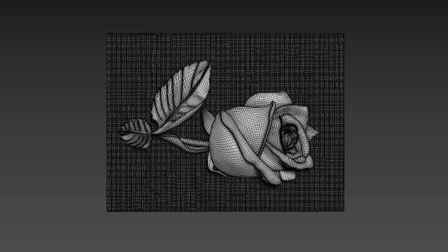 Panno Rose Relief 3D Model in Other 3DExport