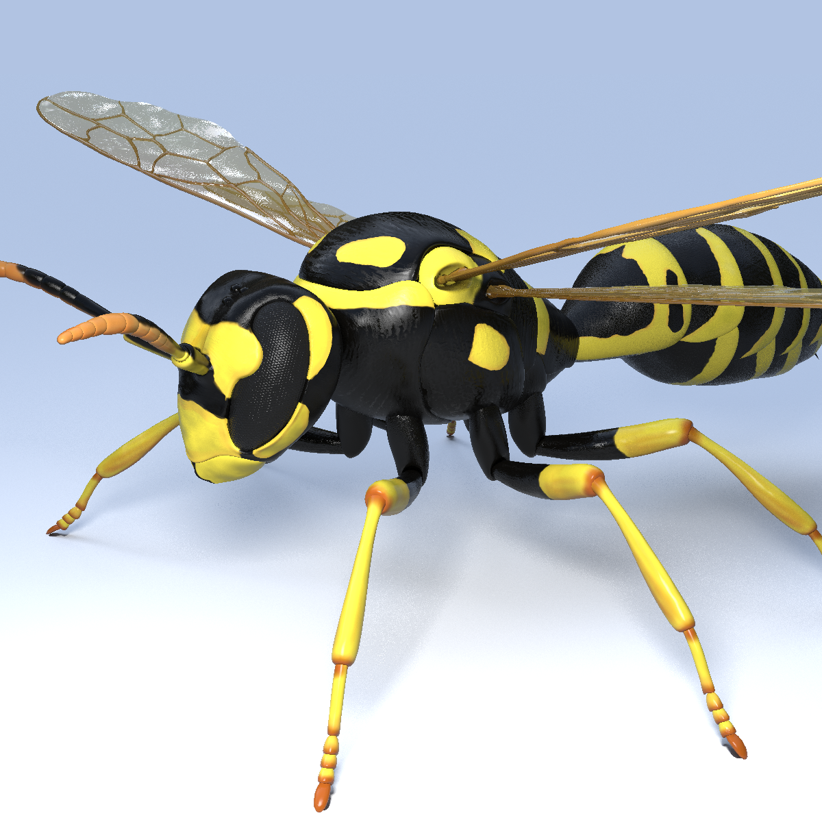 Wasp 3D Model in Insects 3DExport