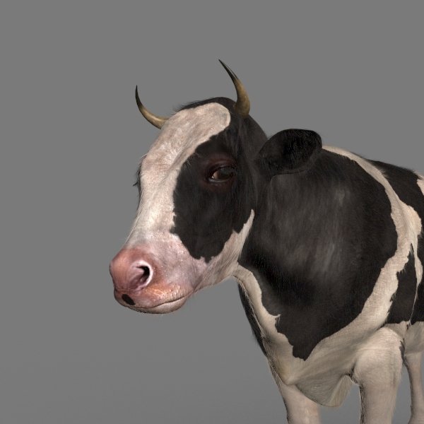Top Cow 3D Model in Cow 3DExport
