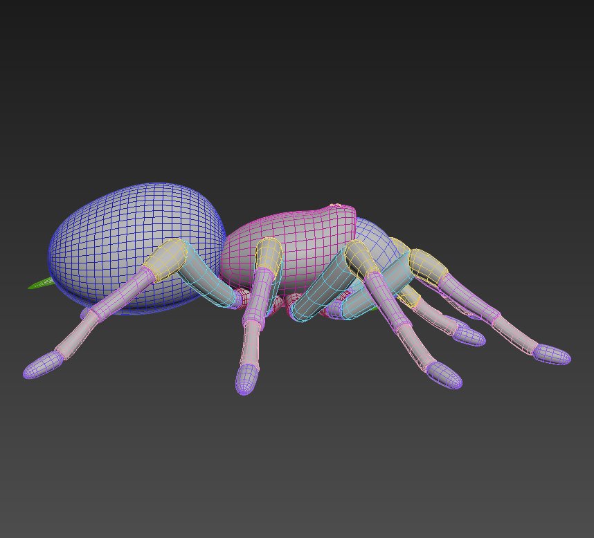 ANIMATED Tarantula 3D Model in Spider 3DExport