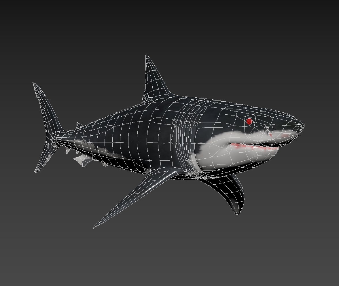 JAWS - 3d animated Great White Shark 3D Model in Shark 3DExport