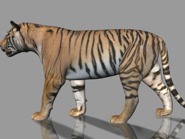 the ultimate cgi tiger 3D Model in Cat 3DExport