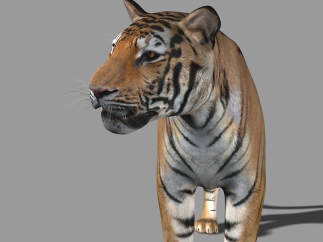 the ultimate cgi tiger 3D Model in Cat 3DExport