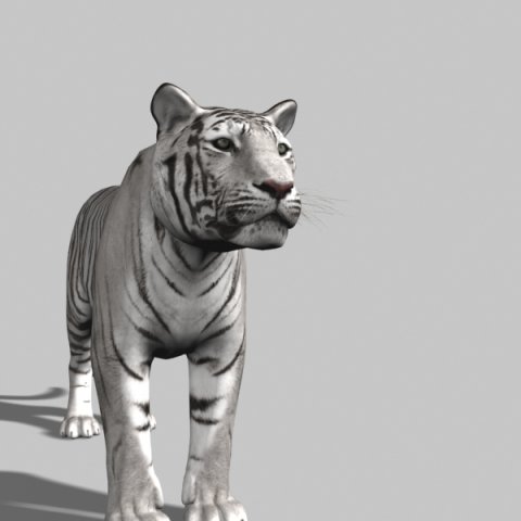 the ultimate cgi tiger 3D Model in Cat 3DExport