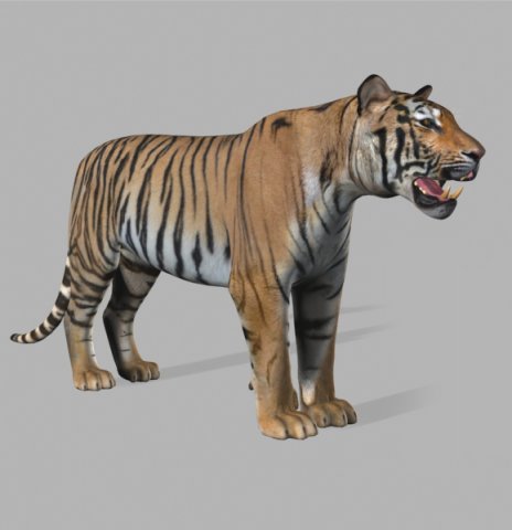 the ultimate cgi tiger 3D Model in Cat 3DExport