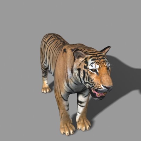 the ultimate cgi tiger 3D Model in Cat 3DExport
