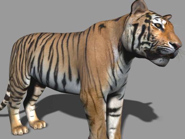 the ultimate cgi tiger 3D Model in Cat 3DExport