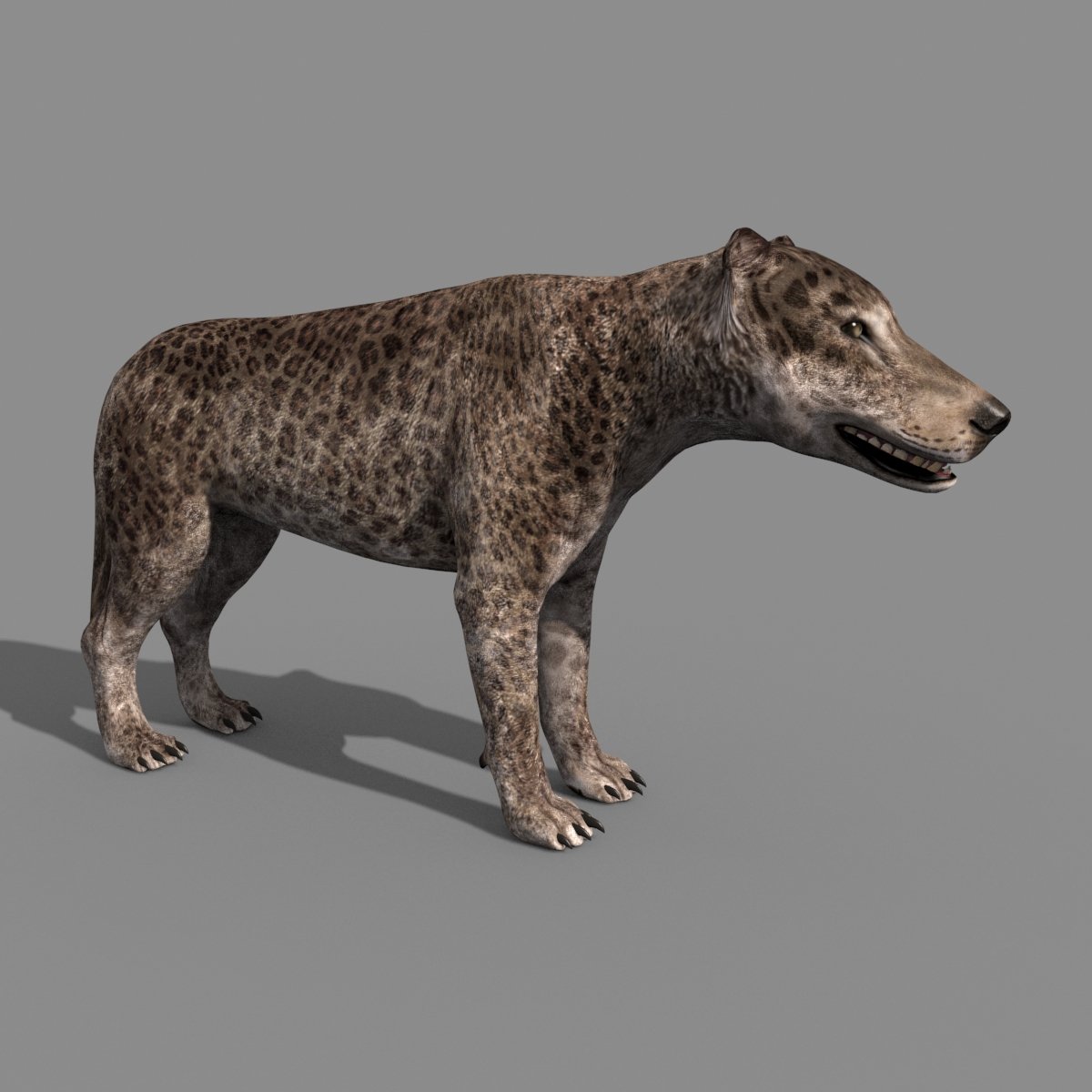 Andrewsarchus Vs Hyaenodon